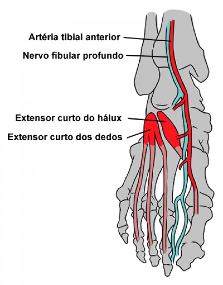 Instep – Feet Without Pain